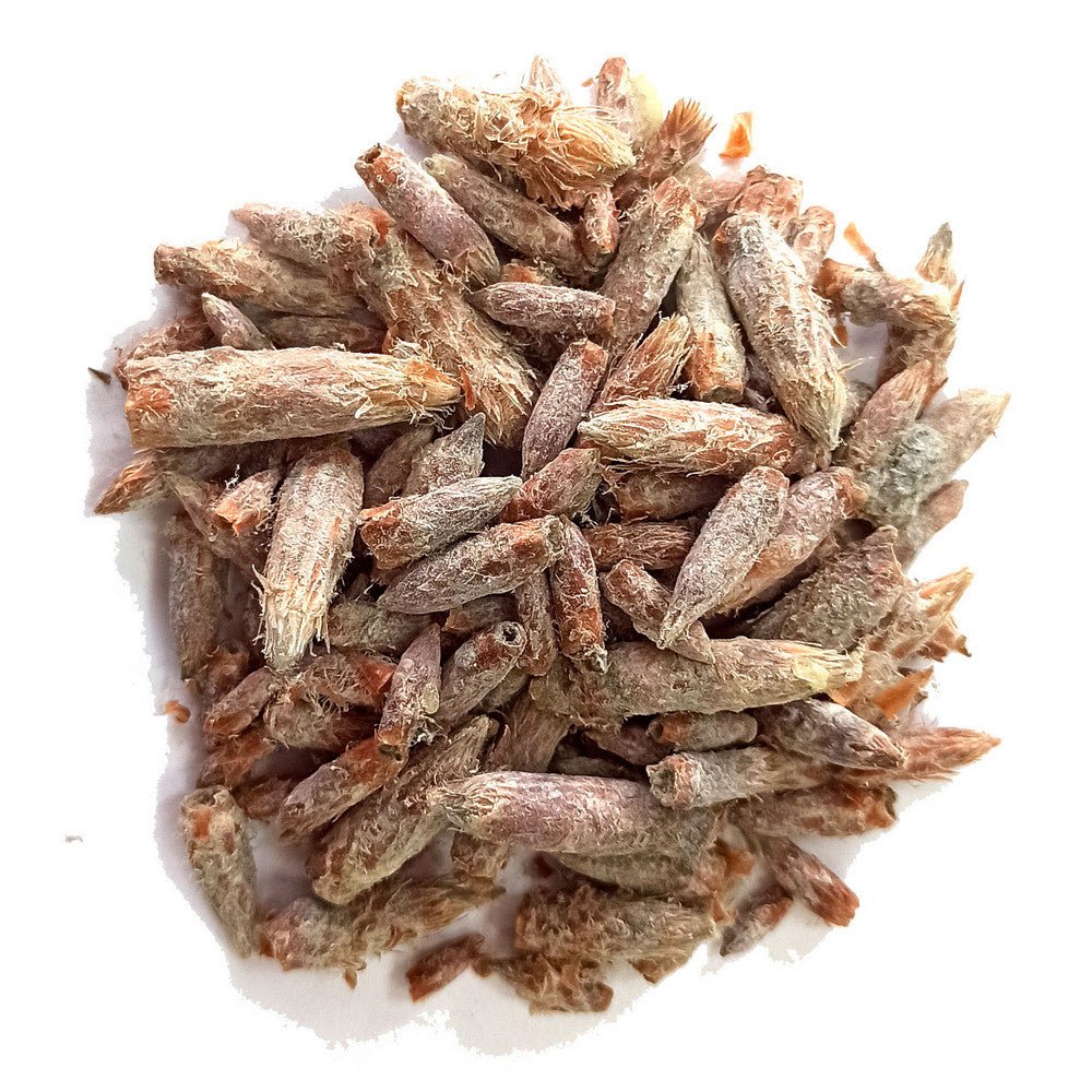 Бруньки сосни (Pinus) – Grandma's Pharm